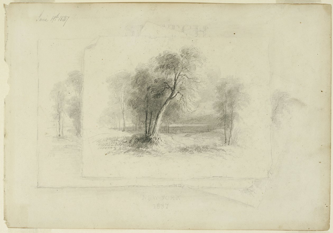 Frontispiece with Trompe l'Oeil Stack of Three Drawings of Trees (detail)